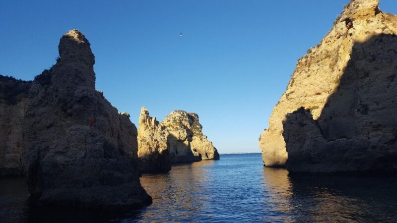 Dolphin Watching and Local Caves - Key Points