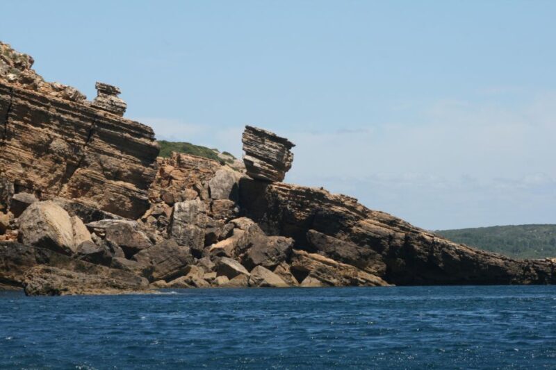 Dolphin Watching and Local Caves - Who Should Consider This Tour?