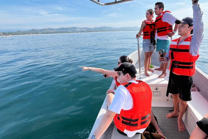 Dolphin Watching and Marine Life on the Coast of Oaxaca - The Sum Up
