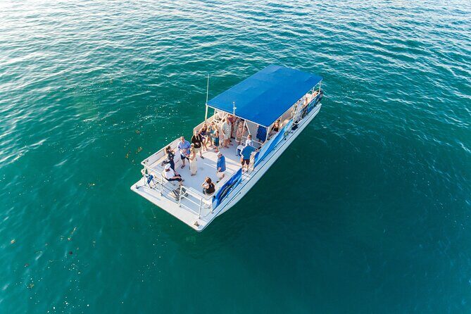 Dolphin Watching and Snorkeling Adventure in Key West - FAQ