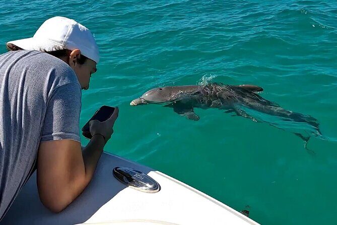 Dolphin Watching and Snorkeling Key West - Key Points