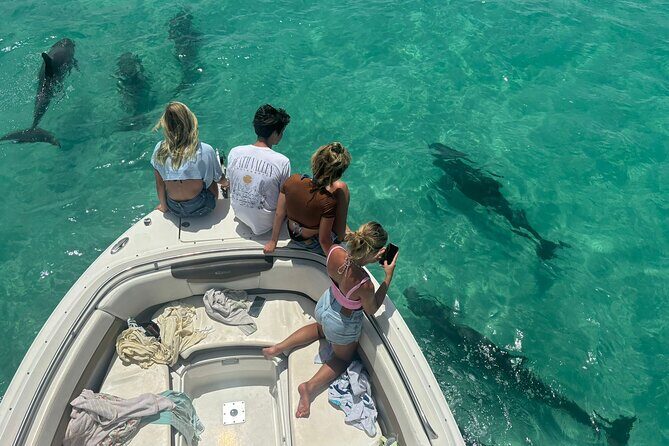 Dolphin Watching and Snorkeling Key West - The Departure and Early Boat Ride
