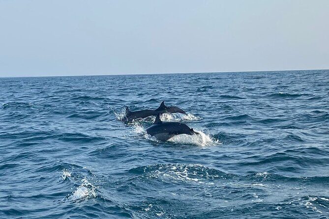 Dolphin Watching and Village Tour 3 Days Experience - A Detailed Look at the 3-Day Experience