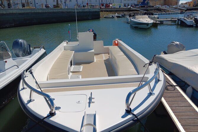 Dolphin watching and wildlife from Faro - Who Should Consider This Tour?