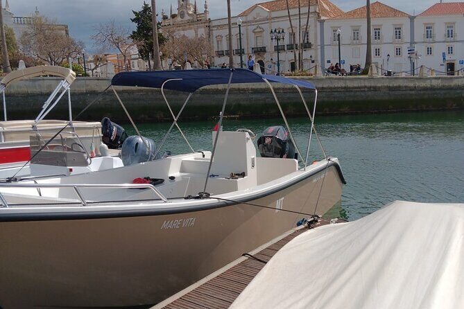 Dolphin watching and wildlife from Faro - Final Thoughts: Is It Worth It?
