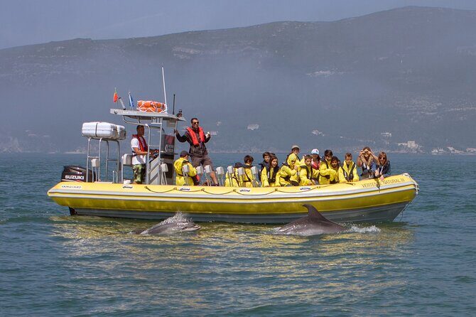 Dolphin Watching at the Arrabida (Lisbon region) - The Scenic Journey and Cave Exploration