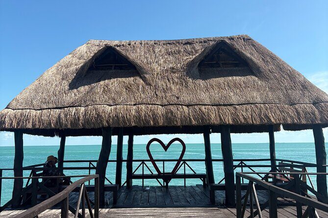 Dolphin watching by private boat from Isla Aguada - Starting Point & Logistics