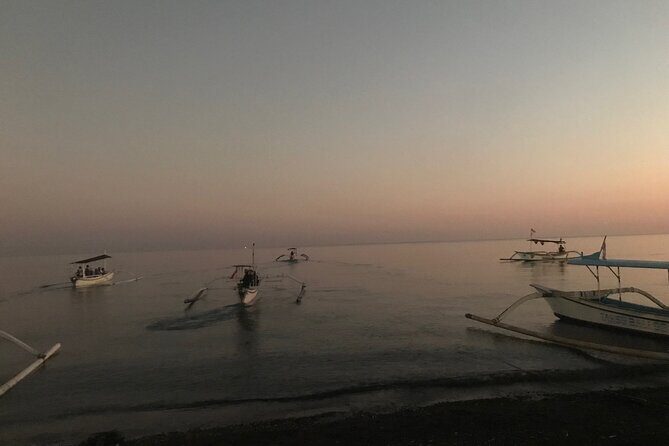 Dolphin Watching Experience at North Bali - Exploring the North Bali Dolphin Watching Tour in Detail