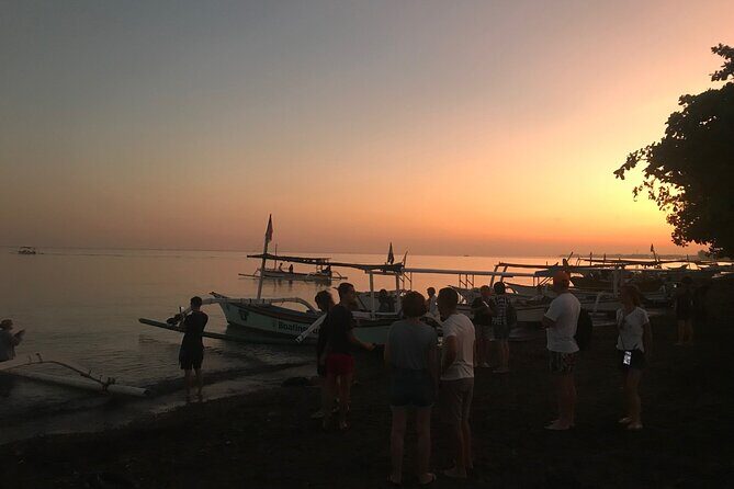 Dolphin Watching Experience at North Bali - The Sum Up