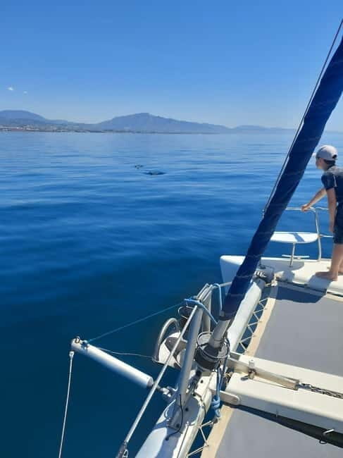 Dolphin watching in Estepona - Final Thoughts