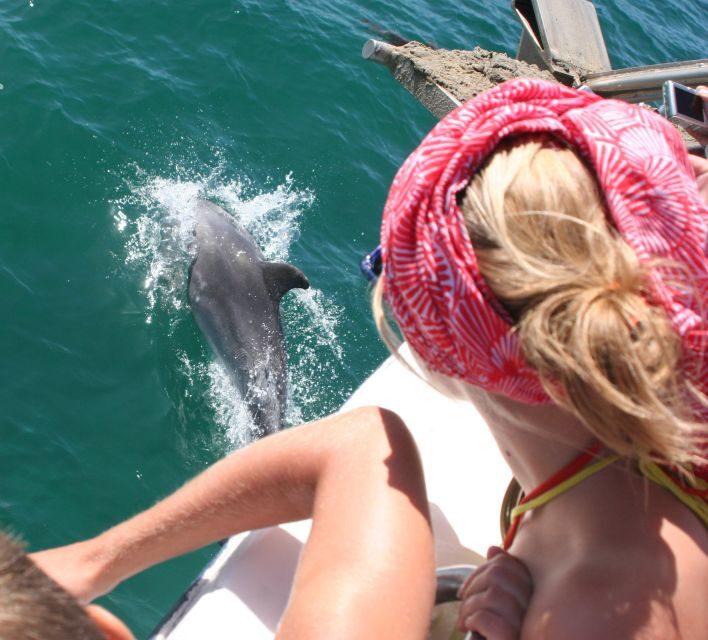 Dolphin Watching in the Wild - Half Day Private Tour - FAQ