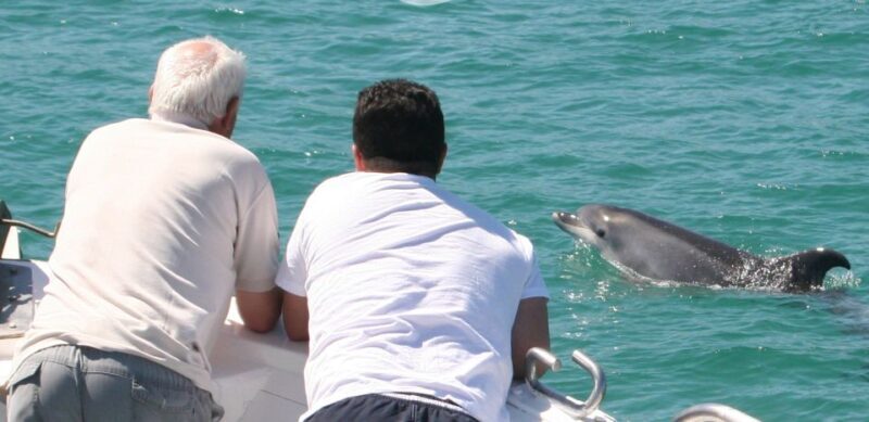 Dolphin Watching in the Wild - Half Day Tour - What’s Included and What’s Not