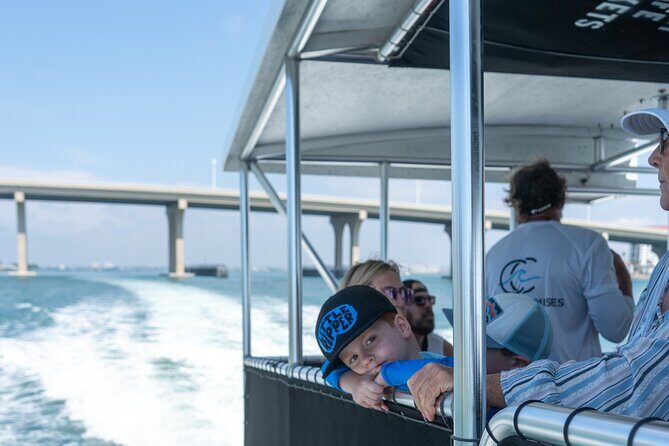 Dolphin Watching Intercoastal Cruise - Why You’ll Love the Dolphin Watching Intercoastal Cruise