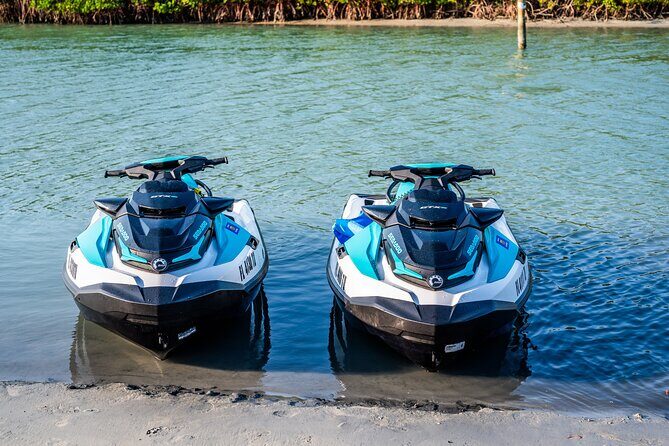Dolphin Watching Jet Ski Tour - Exploring the Tour in Detail