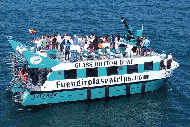 Dolphin watching on a Catamaran in Fuengirola - The Experience in Detail