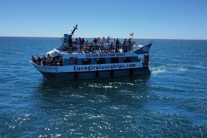 Dolphin watching on a Catamaran in Fuengirola - The Group Size and Timing