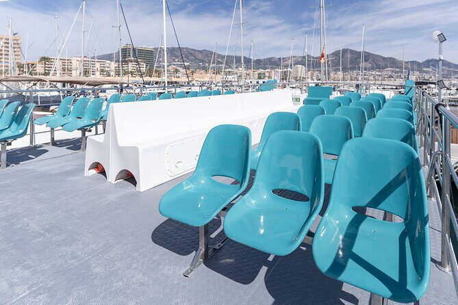 Dolphin watching on a Catamaran in Fuengirola - Final Thoughts