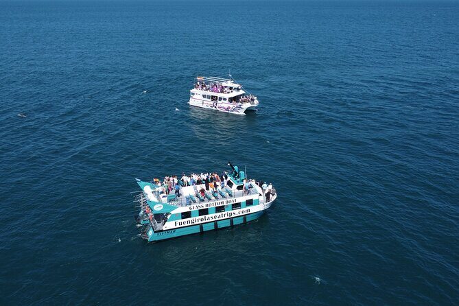 Dolphin watching on a Catamaran in Fuengirola - FAQs
