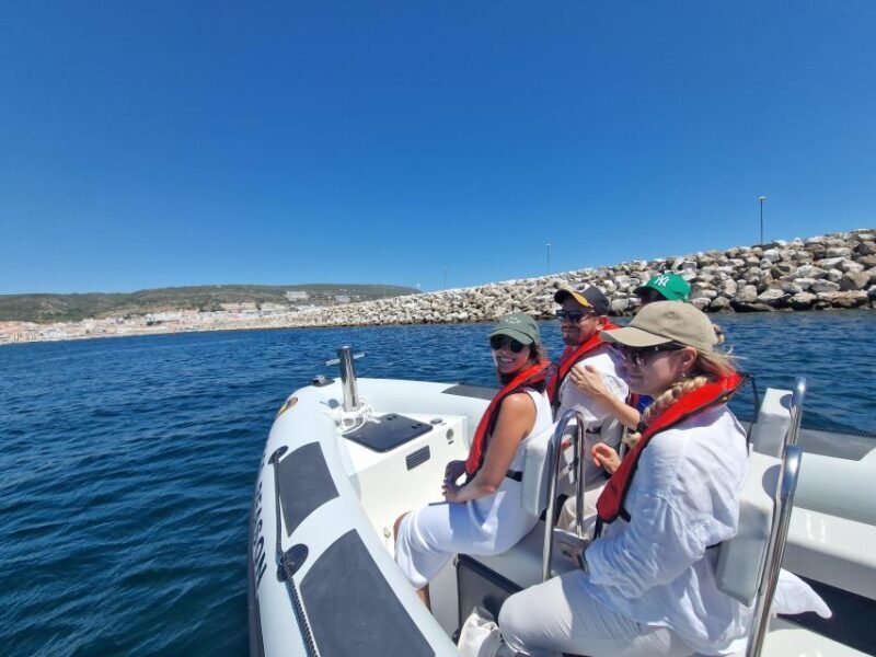 Dolphin Watching: Sesimbra / Arrábida Natural Park - Who Will Love This Tour?