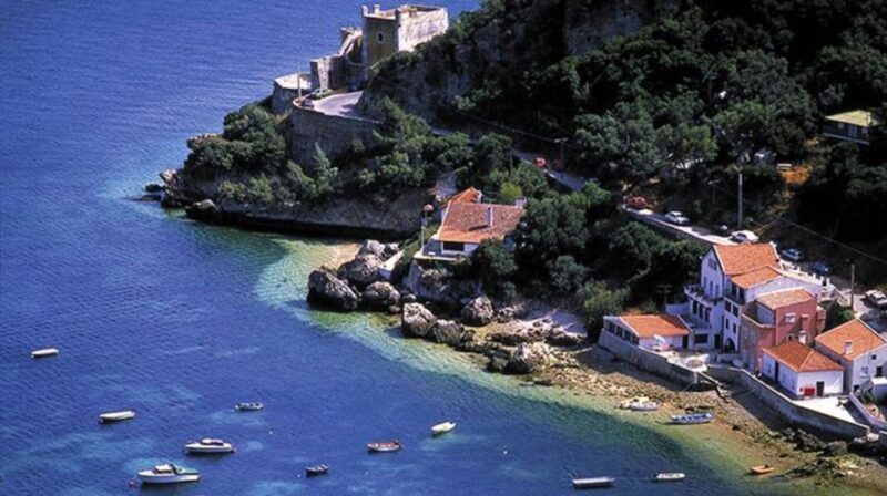Dolphin Watching: Sesimbra / Arrábida Natural Park - Frequently Asked Questions (FAQs)