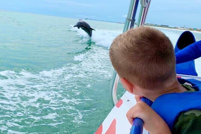 Dolphin-Watching Speedboat Cruise in Destin Harbor - Dolphin-Watching Speedboat Cruise in Destin Harbor: A Detailed Look