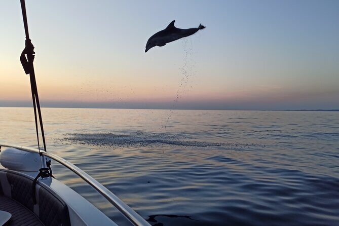 Dolphin Watching Sunset Speedboat Tour with Drinks in Rovinj - FAQs