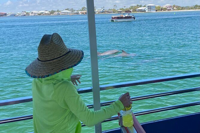 Dolphin Watching Tour in Orange Beach - Practical Details and Tips