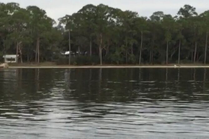 Dolphin Watching Tour in Orange Beach - Final Thoughts: Who Will Love This Tour?