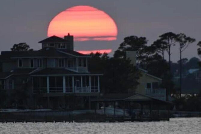 Dolphin Watching Tour in Orange Beach - In The Sum Up