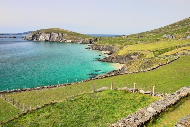 Dolphin & Whale Watching (4hrs) + Blasket Island Landing (3hrs) - Who Should Join This Tour?