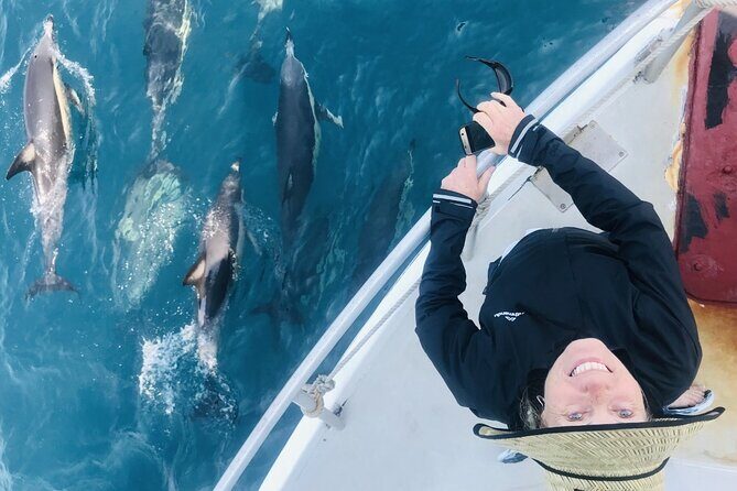 Dolphin & Wildlife Encounters - An In-Depth Look at the Tour