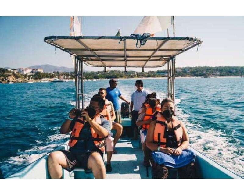 Dolphins and whales watching in Puerto Escondido. - The Practical Side: Transportation, Timing, and Value