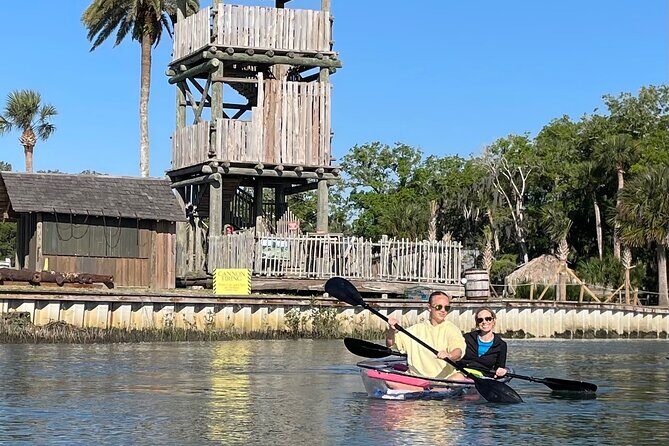 Dolphins and Wildlife Ecotour - What Makes This Tour Stand Out