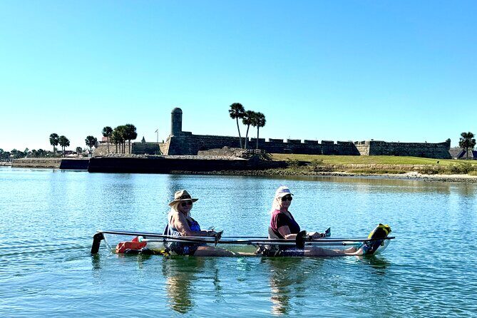 Dolphins and Wildlife Ecotour - Practical Details and Experience Worth Noting