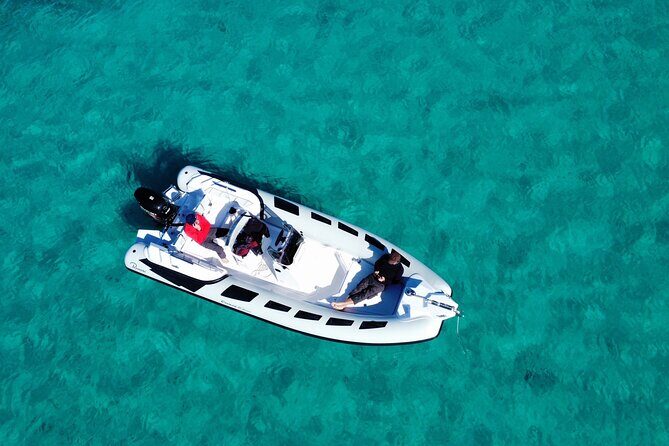 Dolphins Rib boat (up 6 people) Private - The Experience: From Booking to End
