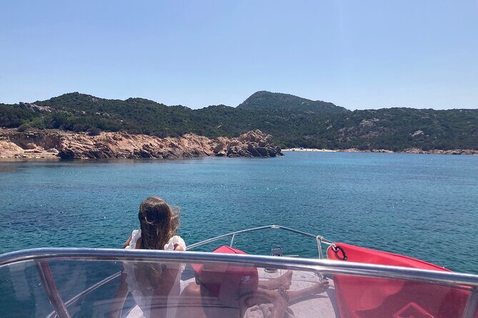 Dolphins Rib boat (up 6 people) Private - From Enthusiastic Reviews to Real Expectations