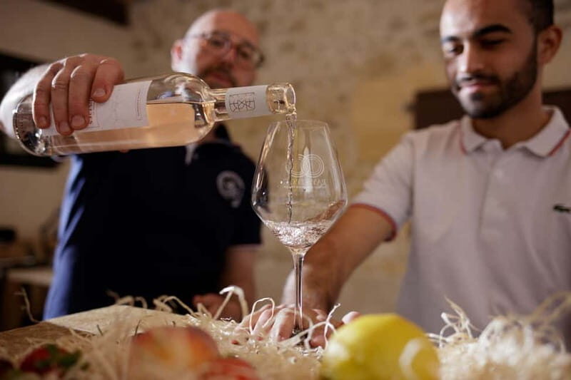 Domaine de Soustres, Montady : Visit and Tasting - Exploring Domaine de Soustres: A Genuine Taste of French Winemaking