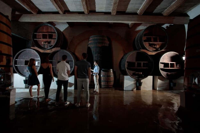 Domaine de Soustres, Montady : Visit and Tasting - Who Will Love This Experience?