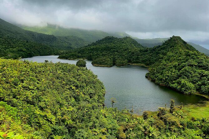 Dominica Adventure Hiking, Swimming, and Hot Springs Tour - Who Will Love This Tour?