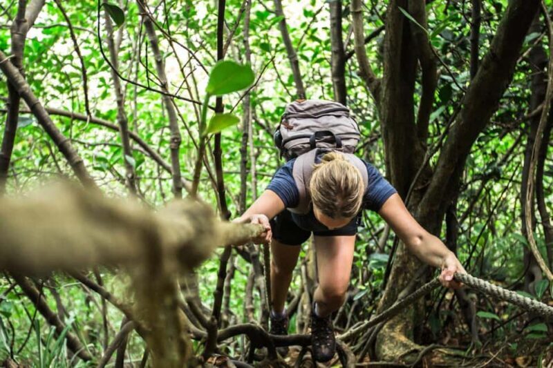 Dominica Hiking Adventures - FAQ