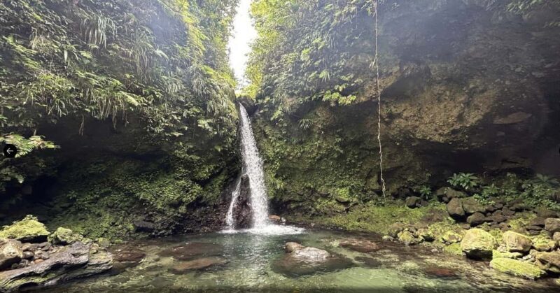 Dominica Hot Springs Waterfalls and Titou Gorge Treasures - Titou Gorge: Swimming Through a Natural Marvel