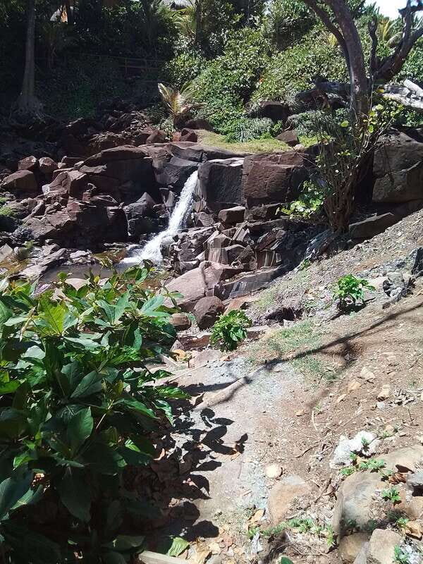 Dominica: Indian village, Hidden gems & British Battle Fort. - An In-Depth Look at the Tour Experience