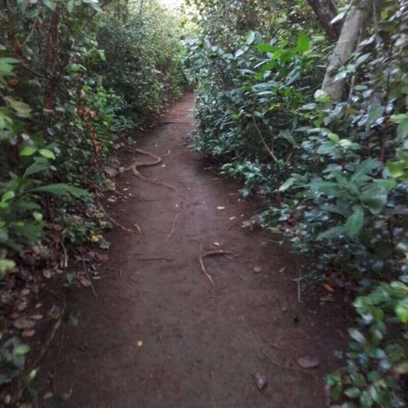 Dominica: Indian village, Hidden gems & British Battle Fort. - The Sum Up: Who Is This Tour Best For?