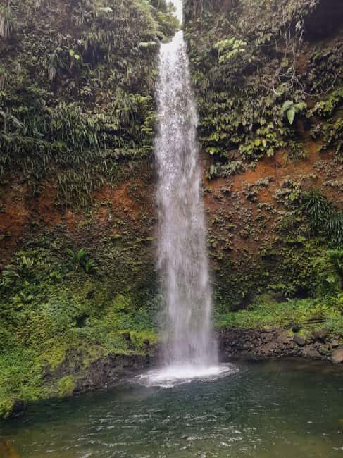 Dominica: Local Bush Rum Bar, Waterfall and River Pool Tour - Starting Point and Transportation