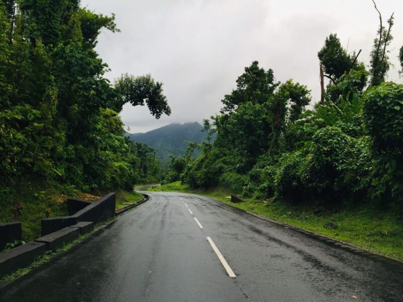 Dominica: Local Bush Rum Bar, Waterfall and River Pool Tour - Return to the Cruise Ship Dock