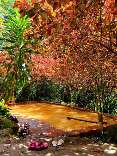 Dominica: Middleham Falls, Titou Gorge, and Trafalgar Falls - A Deep Dive into the Tour Experience