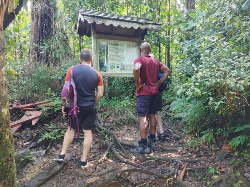 Dominica: Rain Forest Adventure with Waterfall Swim - FAQs About This Tour