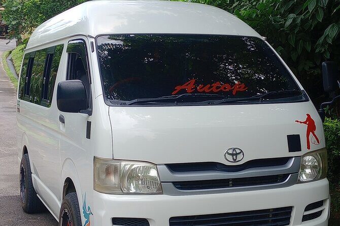 Dominica Scenic Waterfalls and Hot Springs @ Autop Tours - Trafalgar Falls – The Icon of Dominica