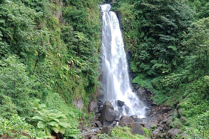 Dominica Scenic Waterfalls and Hot Springs @ Autop Tours - The Drive and the Baobab Tree