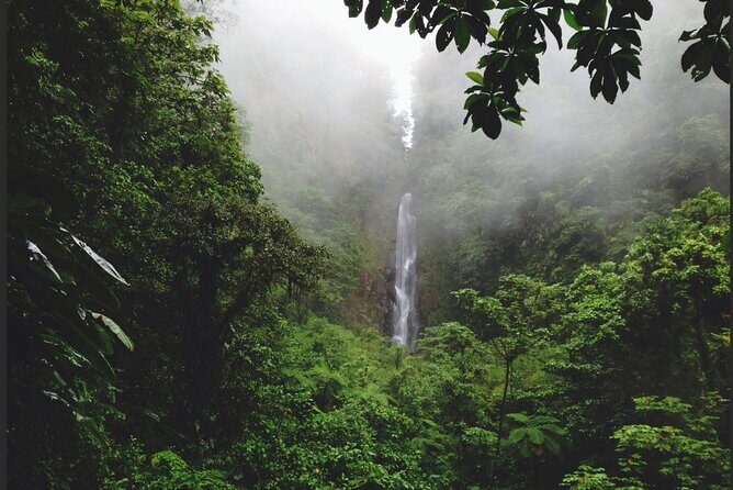 Dominica Waterfalls Chasing Experience - FAQs